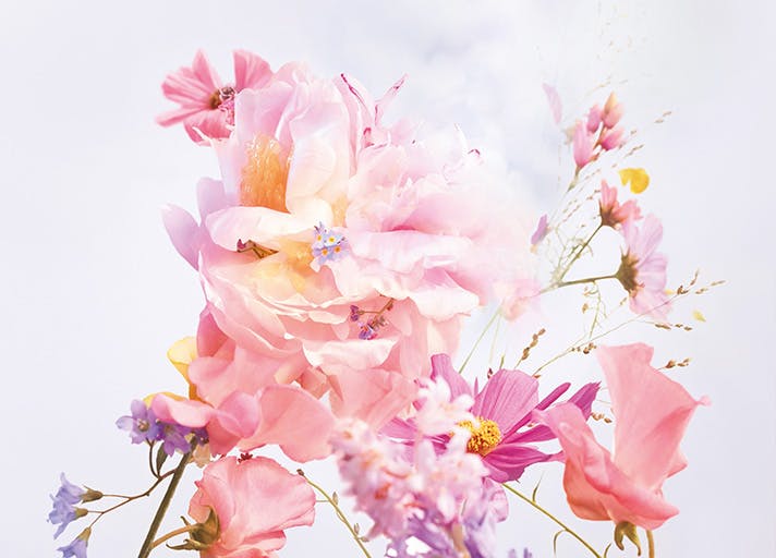 Miss Dior Perfume for Women | The Fragrance Shop