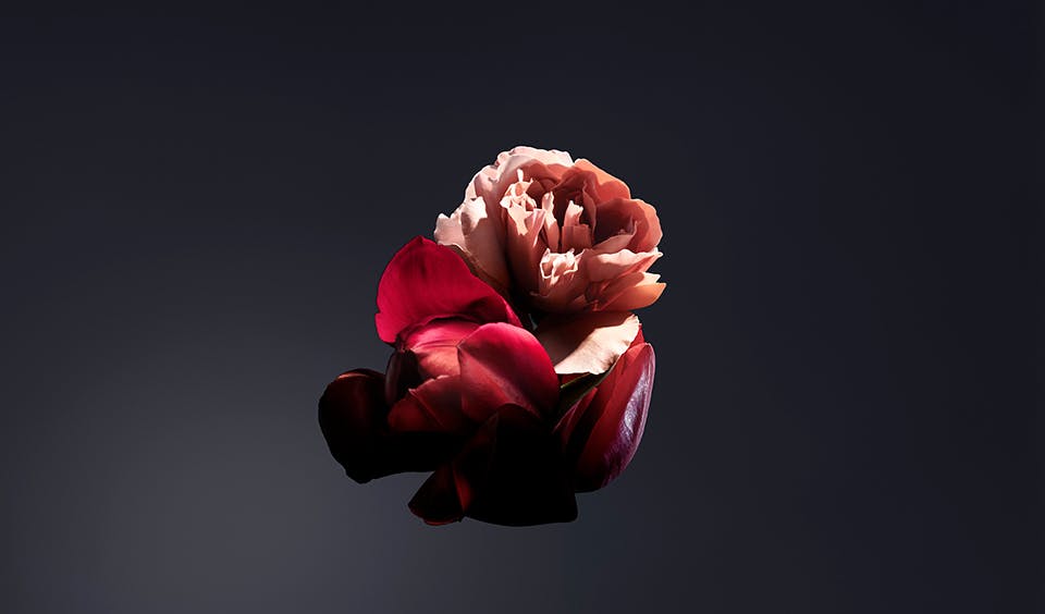 Rabanne Lady Million Perfume | Lady Million Eau De Parfum | The ...