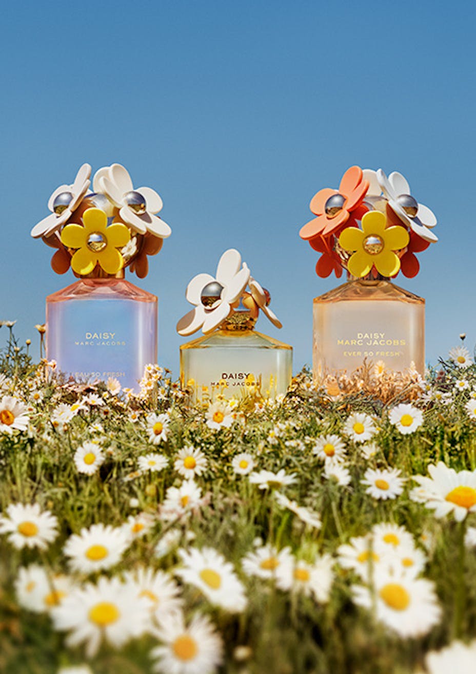 Marc Jacobs Perfume and Fragrance | The Fragrance Shop