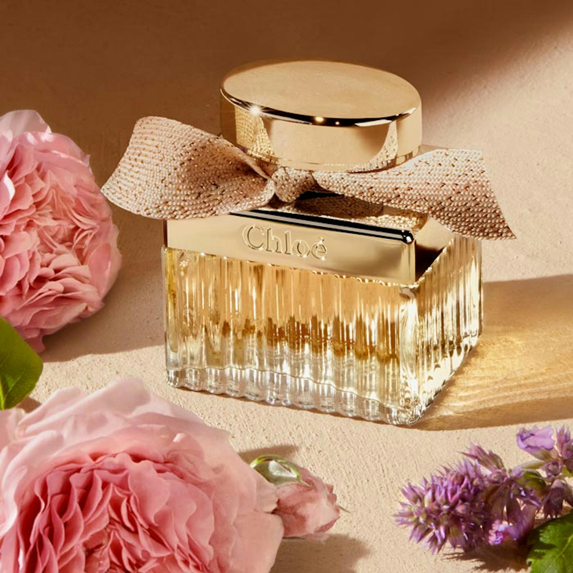 Chloé Eau De Parfum 30ml Spray | The Fragrance Shop