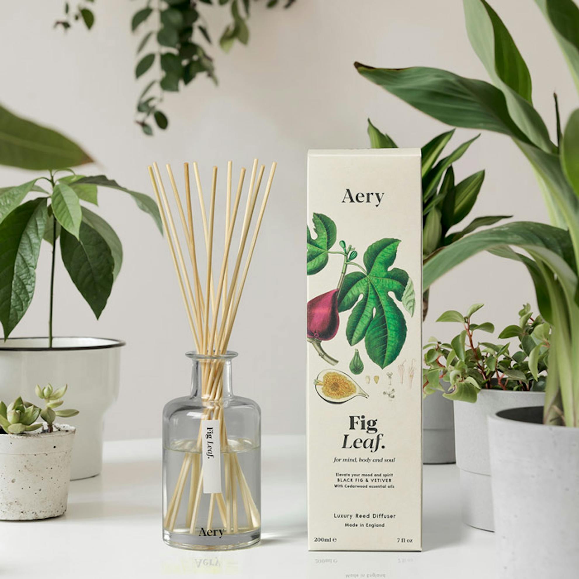 Aery Botanical Fig Leaf 200g Diffuser | The Fragrance Shop