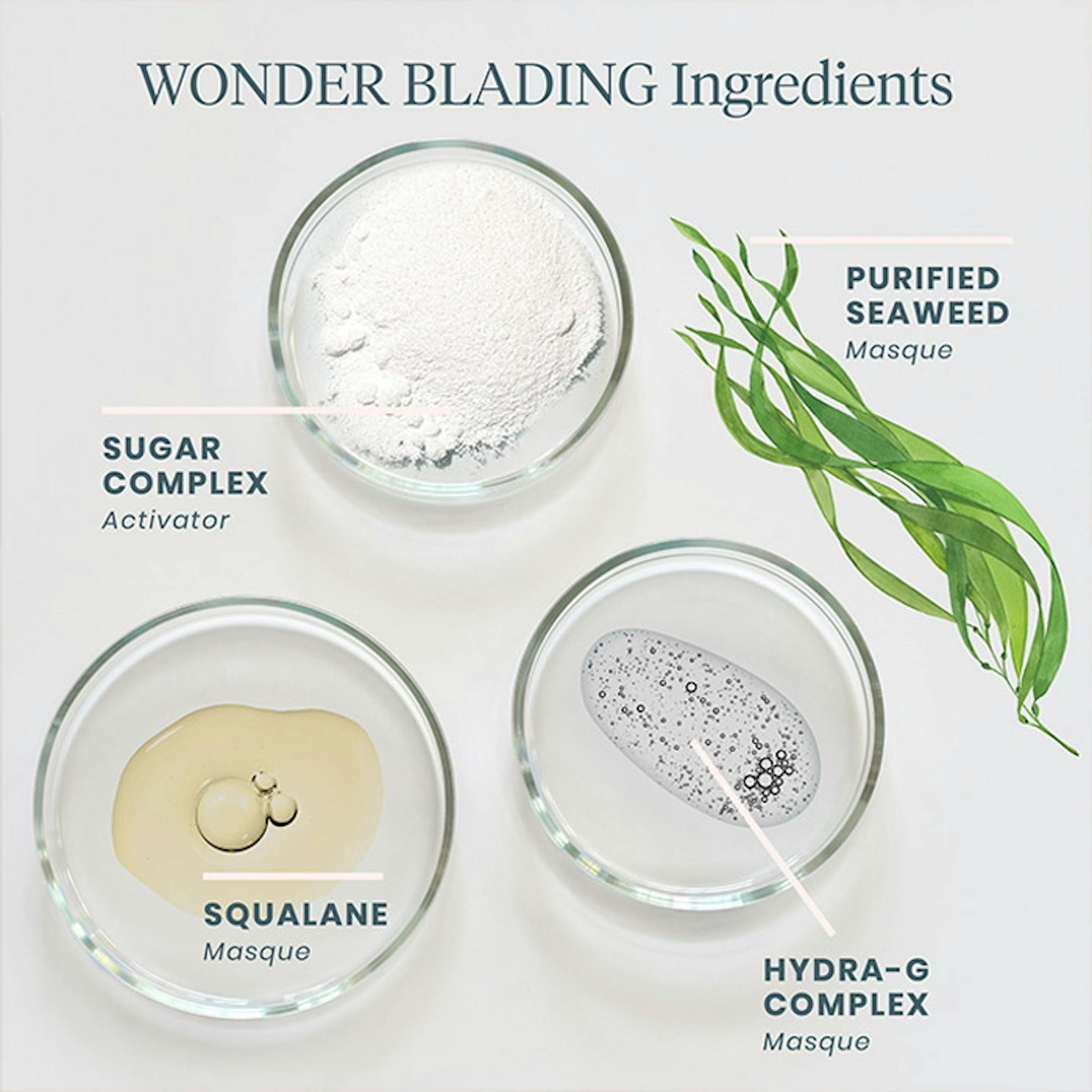 Wonderskin WONDER BLADING Peel & Reveal Lip Stain Kit Hayley (Rich ...