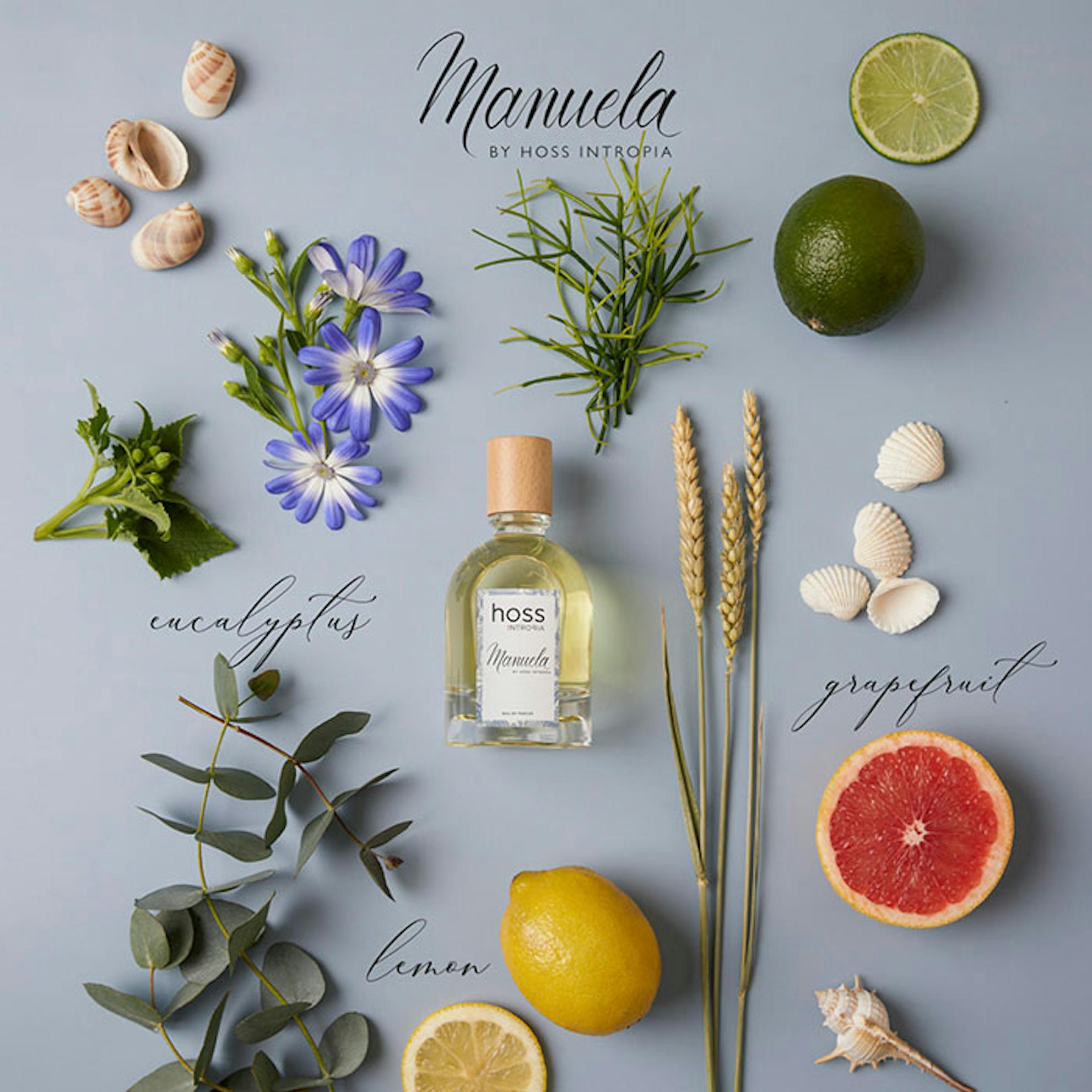 Intropia Manuela Eau De Parfum 100ml | Hoss Perfume | TFS | The ...