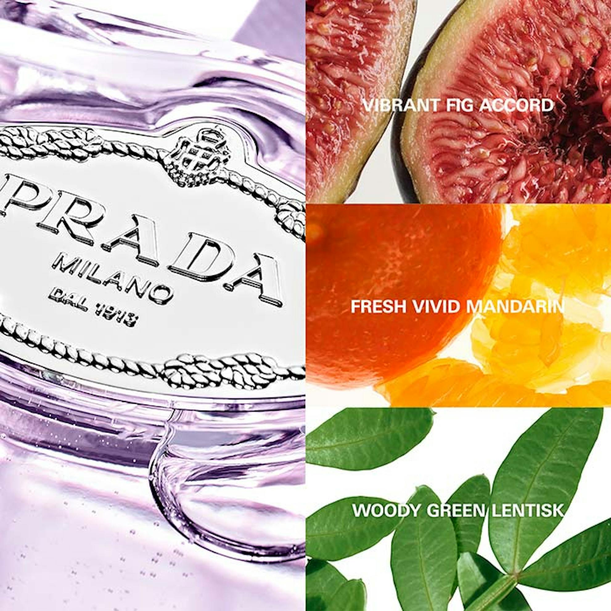 Prada Infusion de Figue 100ml | The Fragrance Shop